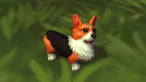 WoW's 12th Anniversary rewards include a new Corgi Pup pet