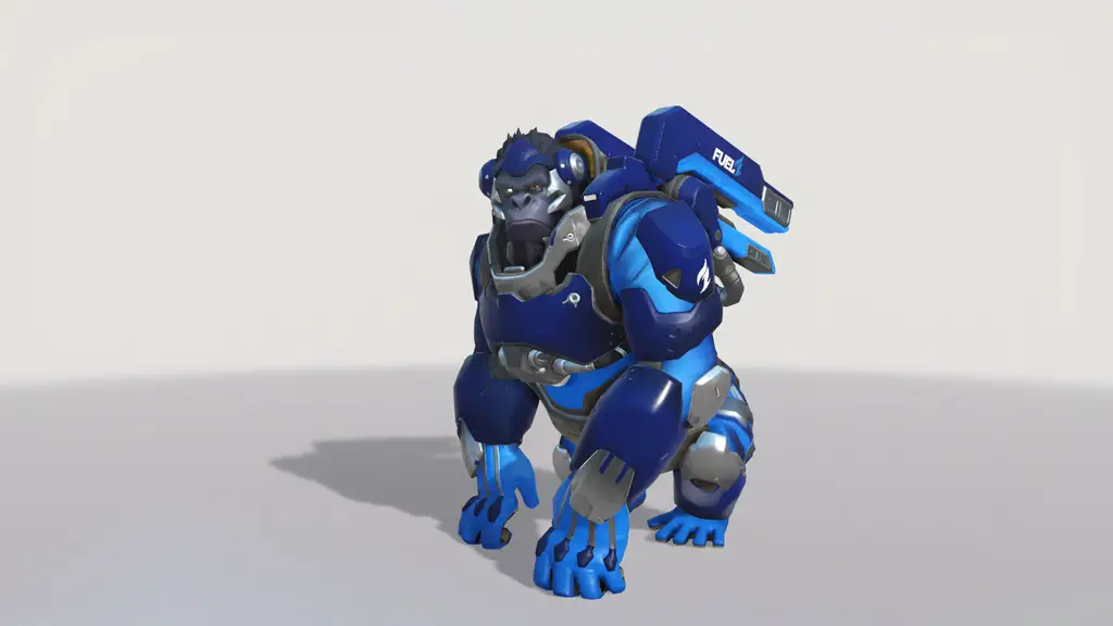 Dallas Fuel Overwatch skins