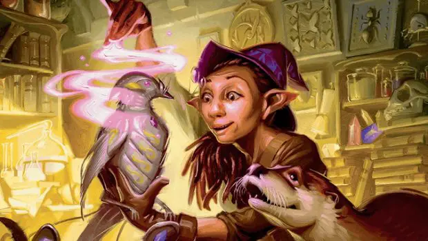 How to play with pets in D&D