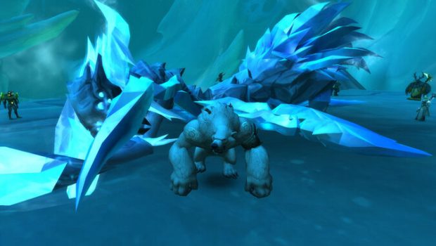The Queue: One squashed spider!