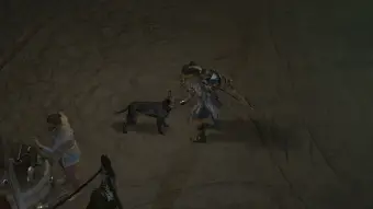 This raven pet is why you'll want to finish the Season Journey in ...