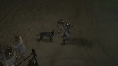 This raven pet is why you'll want to finish the Season Journey in ...