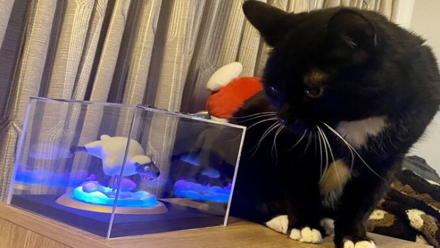 The Queue: Back in the cold frozen North