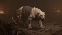 Here Kitty! How to collect the free cat mounts in Diablo 4 Vessel of Hatred