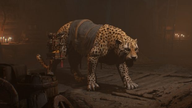 Here Kitty! How to collect the free cat mounts in Diablo 4 Vessel of Hatred