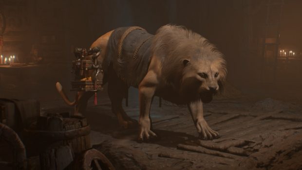 Here Kitty! How to collect the free cat mounts in Diablo 4 Vessel of Hatred